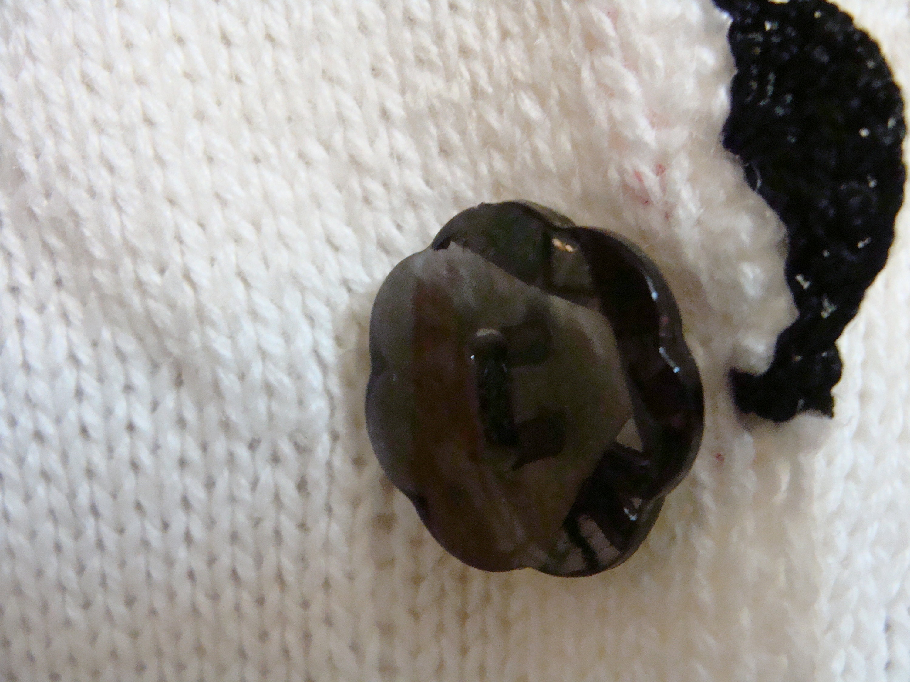 Storybook Knits Cardigan lacy Poppy Size Small - Etsy