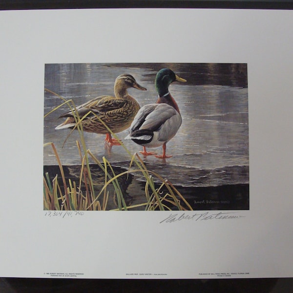 Canadian Wildlife - Etsy