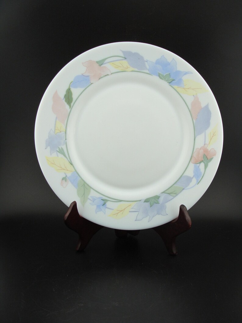Vintage Flo by Arcopal Dinnerware, Plates, Bowls and Mugs, France ...
