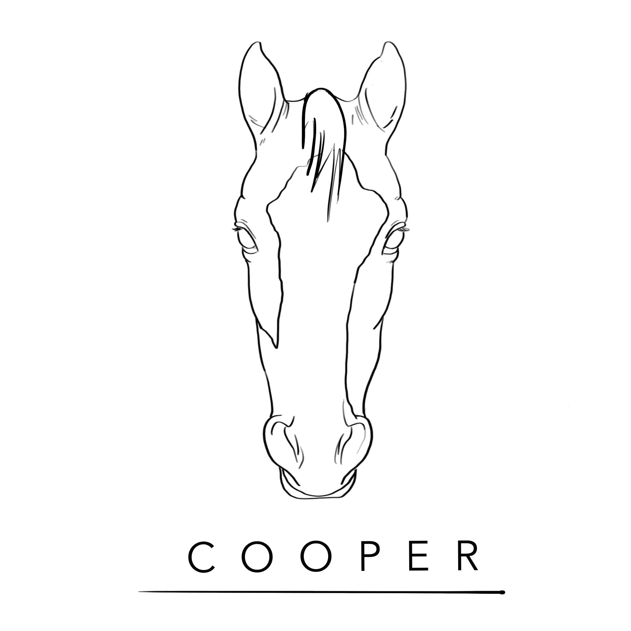 Personalized Line Art | Horse Outlines| Digital Illustration | Custom ...