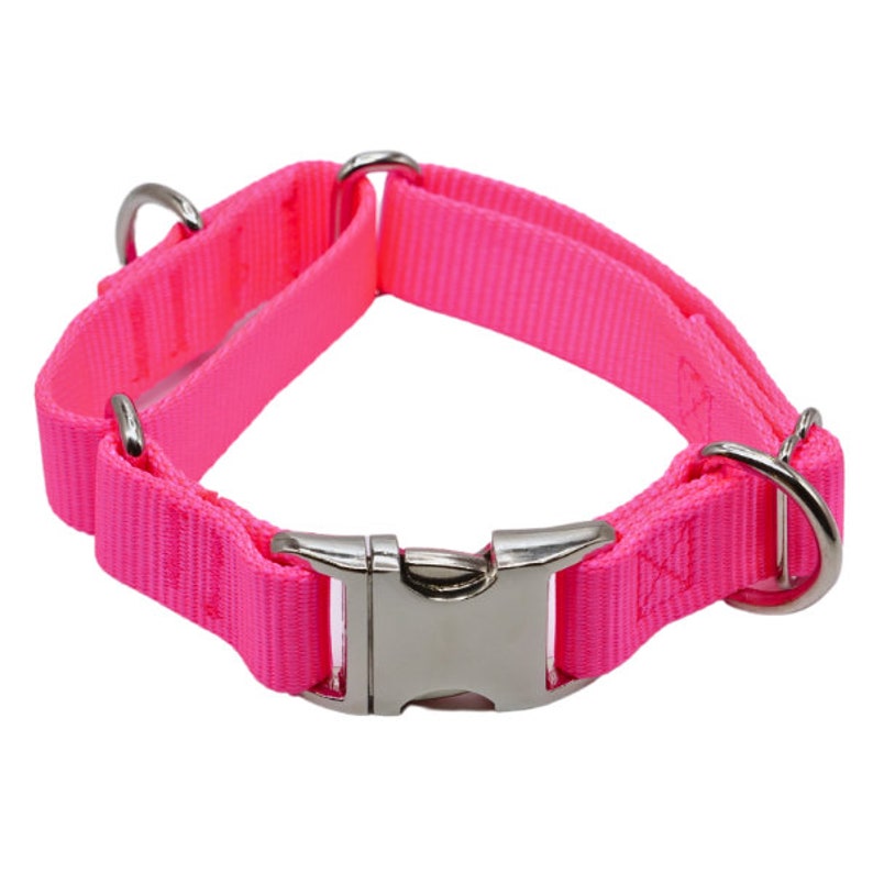 Premium Martingale Collars: Heavy Duty Dog Collar | Impossible to ...