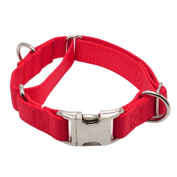 Premium Martingale Collars: Heavy Duty Dog Collar | Impossible to ...
