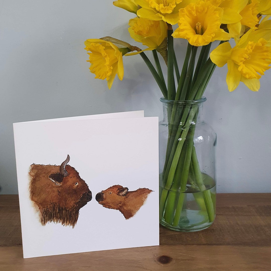 Bison Card | British Wildlife | Kent | Wilder Blean | Wild Animal | Mum ...