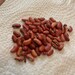 Python and Red Noodle Long Bean Seeds, Snake Bean Seeds, Organic Yard ...
