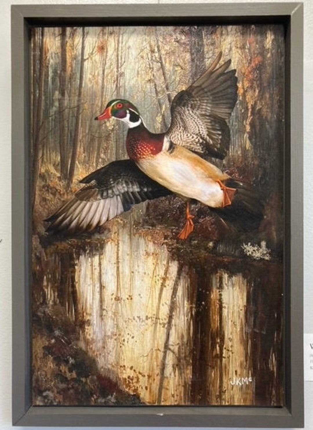 Original Art Work, Wood Duck 17.5 X 25.5" Framed - Etsy