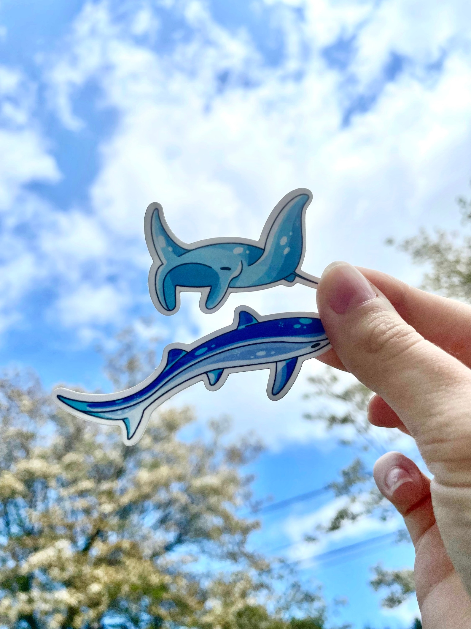 Waterproof Stingray & Shark Cute Die Cut Sticker Set - Etsy
