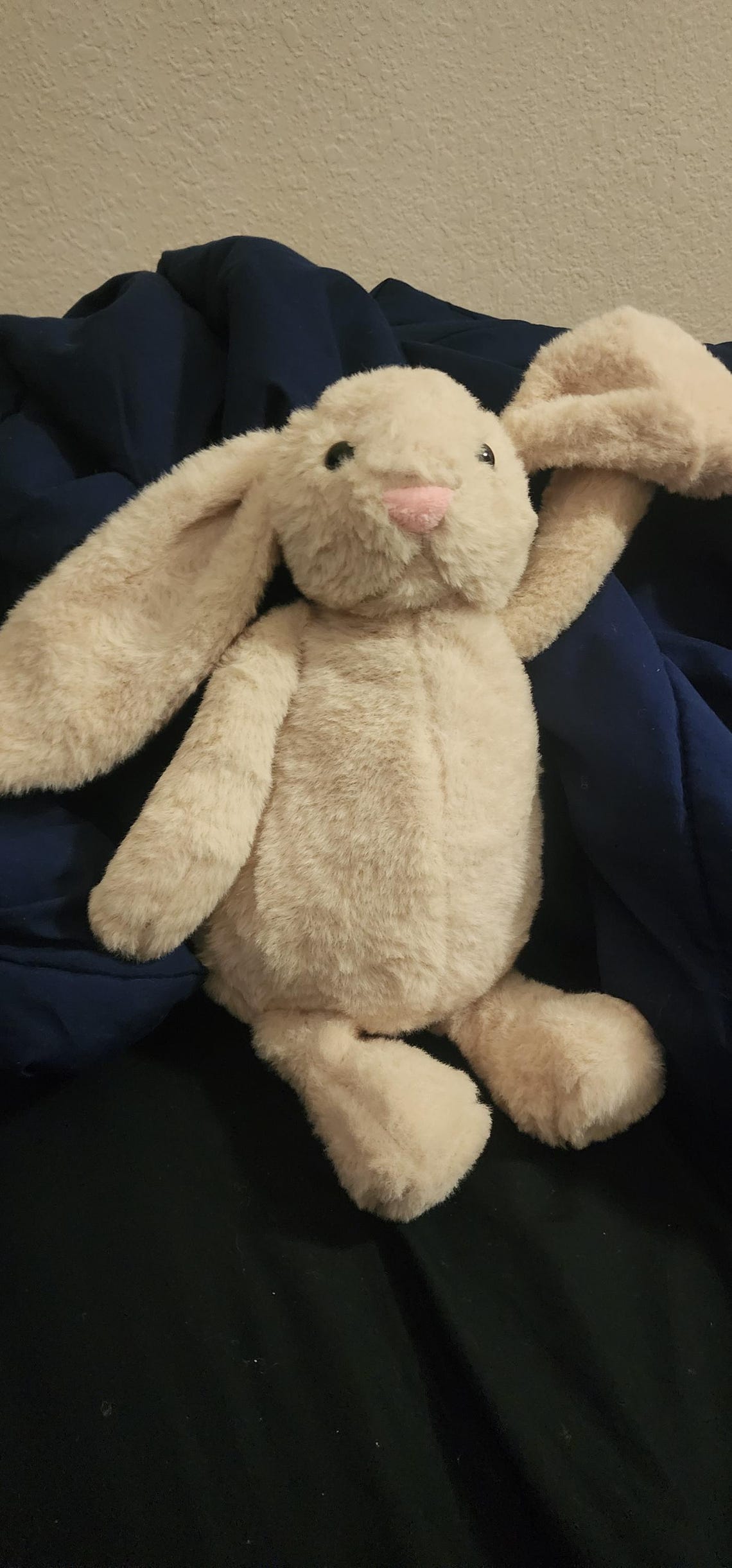 TOY BUNNY SUBLIMATION - Etsy