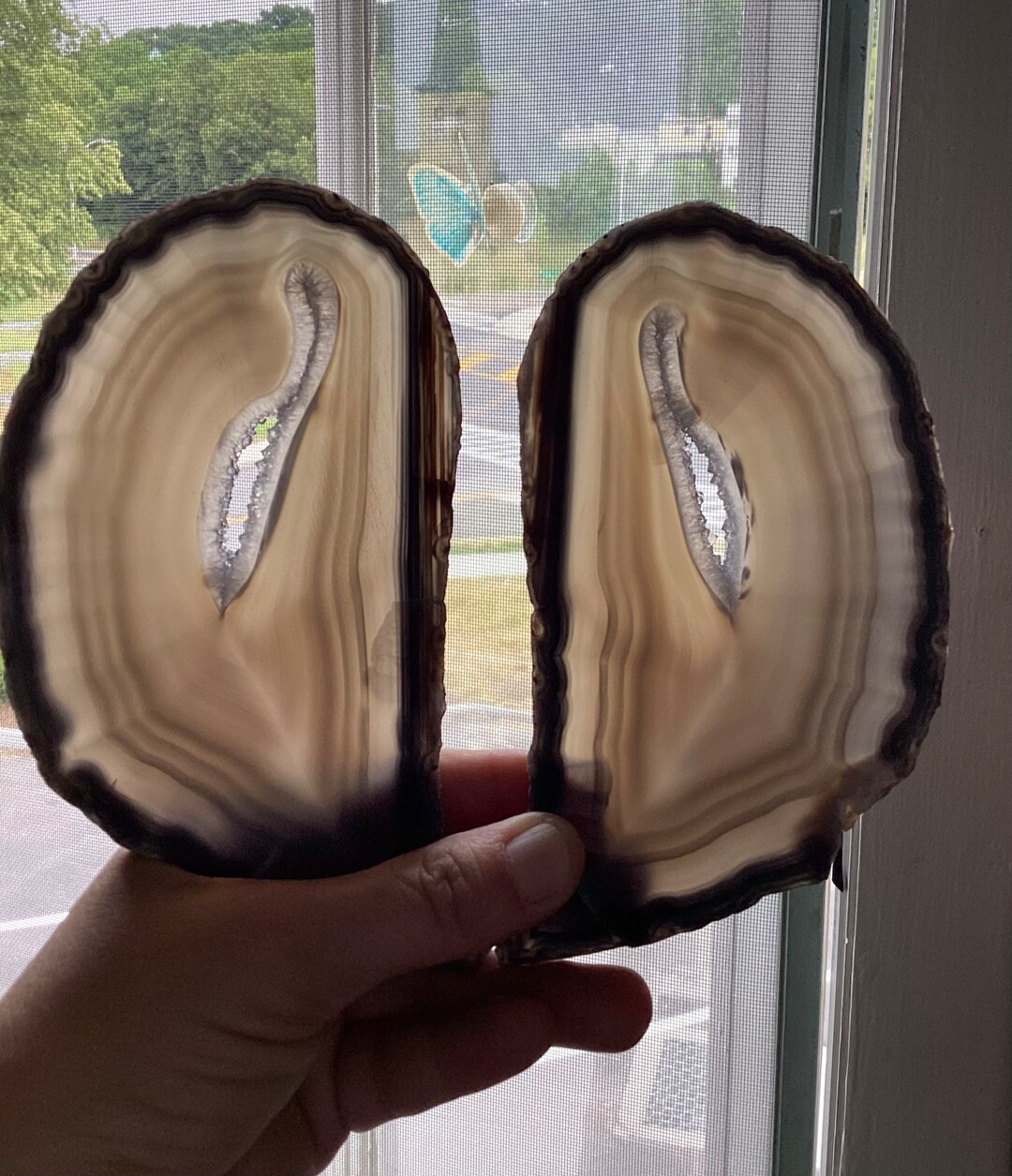 Angel Wing Agate Slices - Etsy