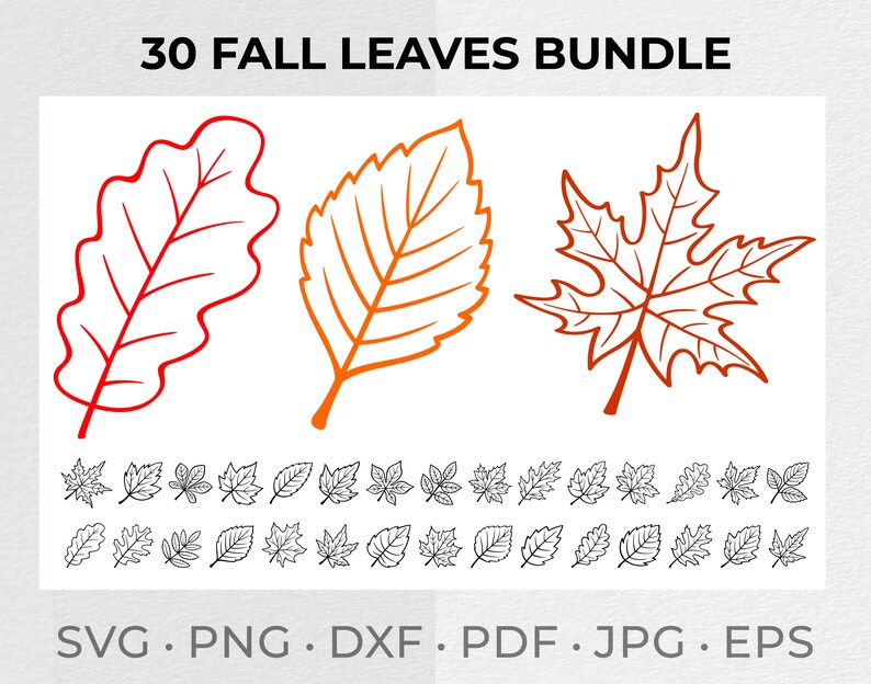 Fall Leaves SVG Cut Files for Cricut Fall Leaves SVG Printable - Etsy