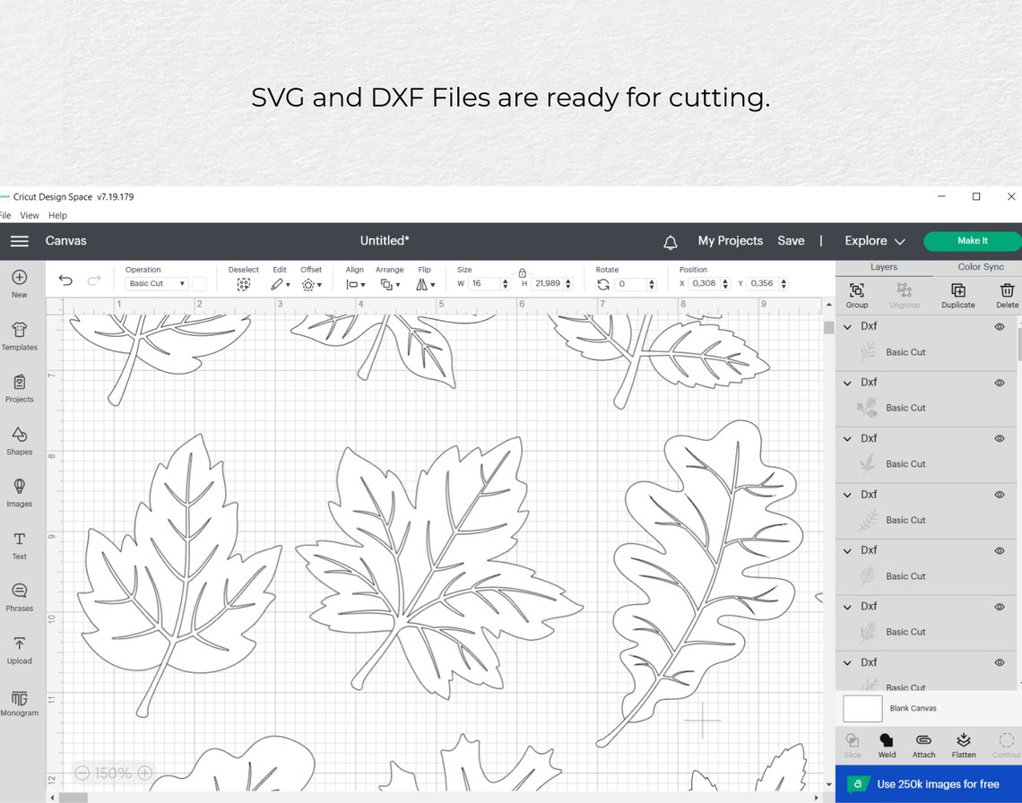 Fall Leaves SVG PNG Autumn Leaves Svg Leaf Cut Files for - Etsy