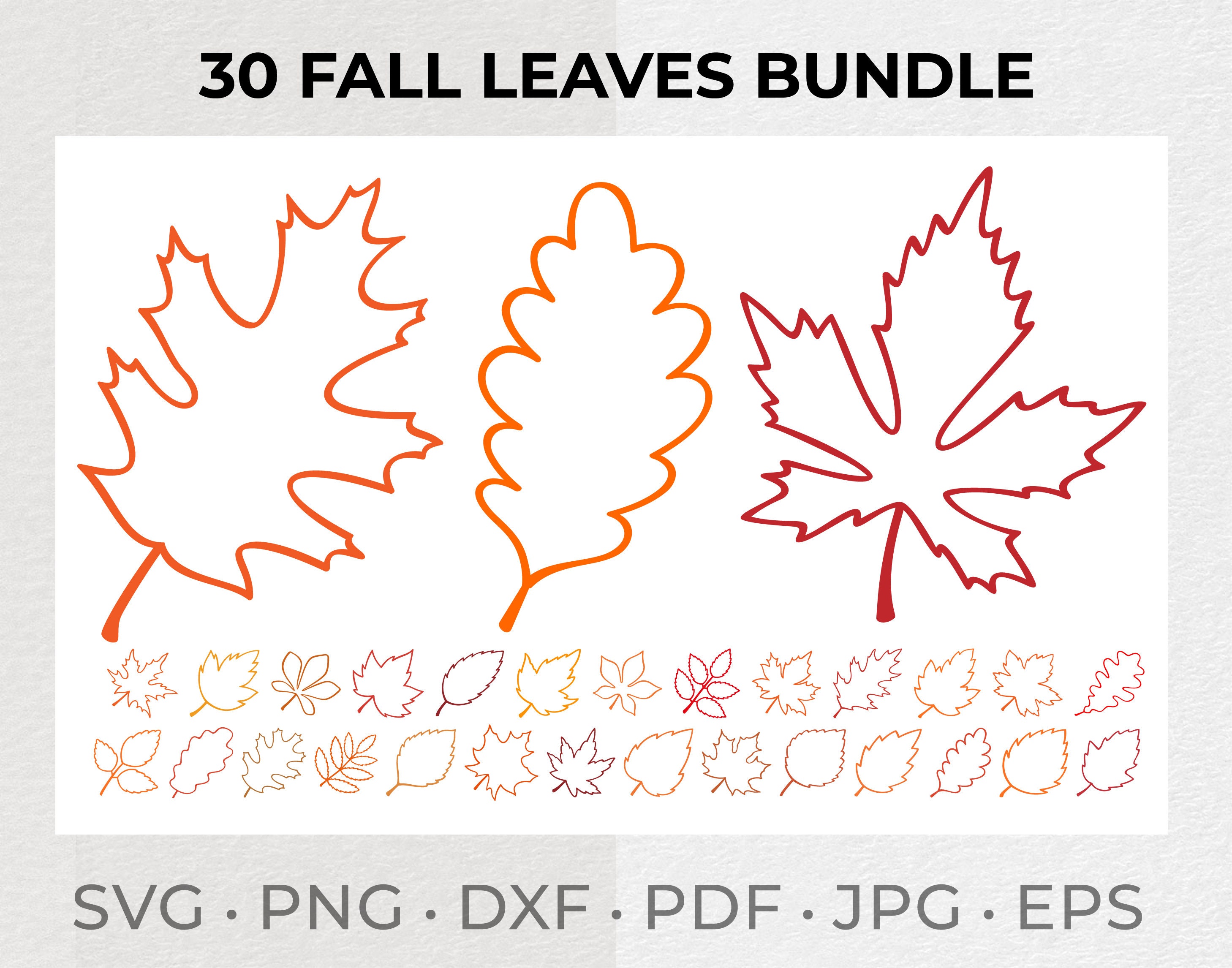 Fall Leaves SVG PNG DXF Autumn Leaf Svg Fall Svg Fall Leaf - Etsy