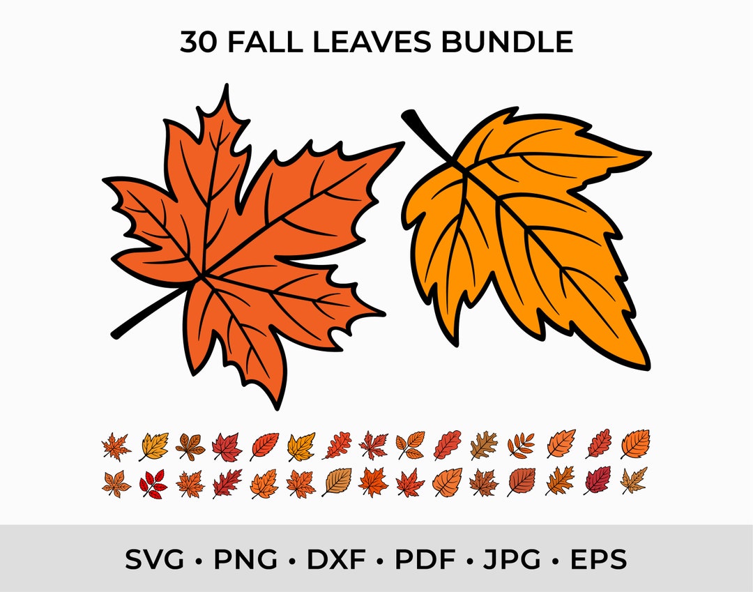 Fall Leaves SVG Bundle, Autumn Leaf Cut Files (digital Download) - Etsy