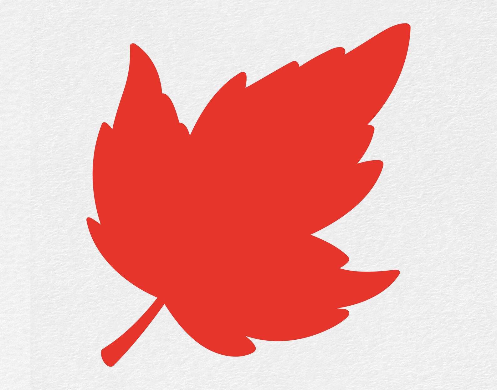 Fall Leaves SVG PNG, Fall Leaf Svg, Fall Svg, Fall Leaf Svg, Fall Png ...