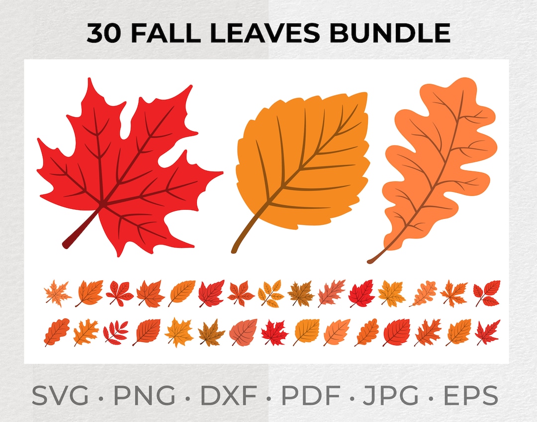 Fall Leaves SVG PNG Autumn Leaves Svg Leaf Cut Files for - Etsy