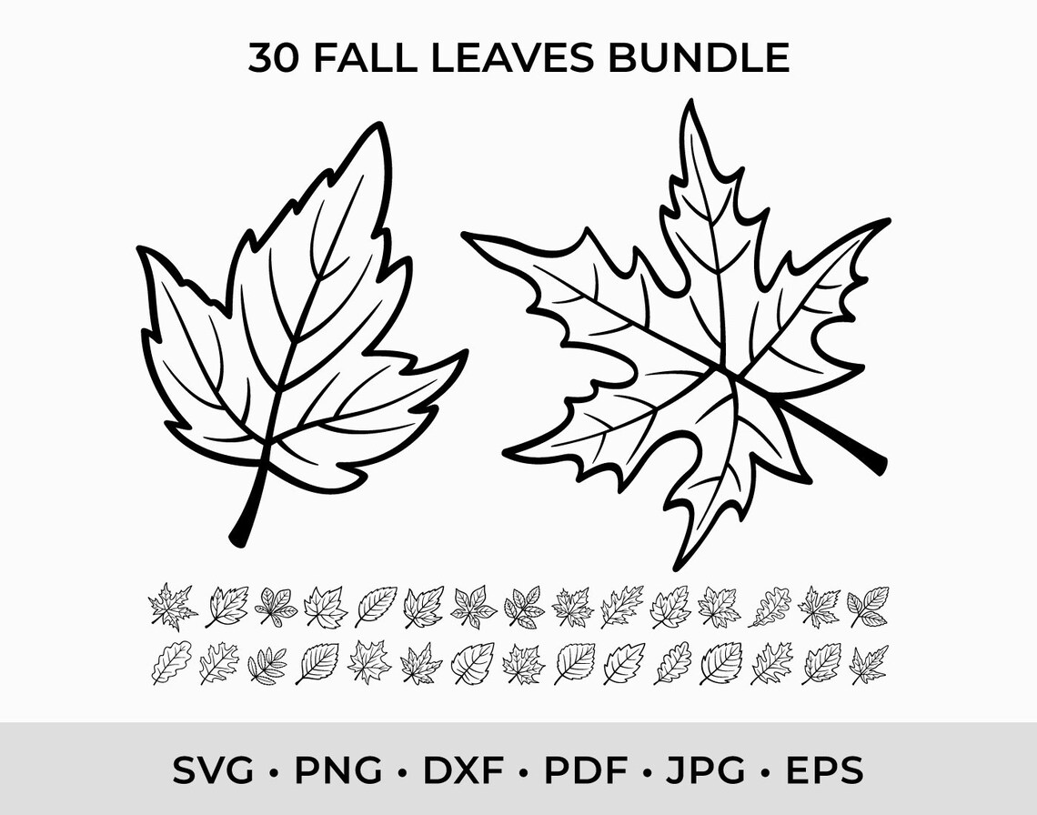 Fall Leaves SVG Cut Files for Cricut Fall Leaves SVG Printable Leaf ...