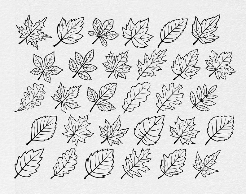 Fall Leaves SVG Cut Files for Cricut Fall Leaves SVG Printable Leaf ...