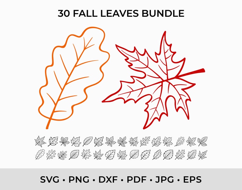 Fall Leaves SVG Cut Files for Cricut Fall Leaves SVG Printable - Etsy