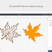 Fall Leaves SVG Bundle, Autumn Leaf Cut Files (digital Download) - Etsy
