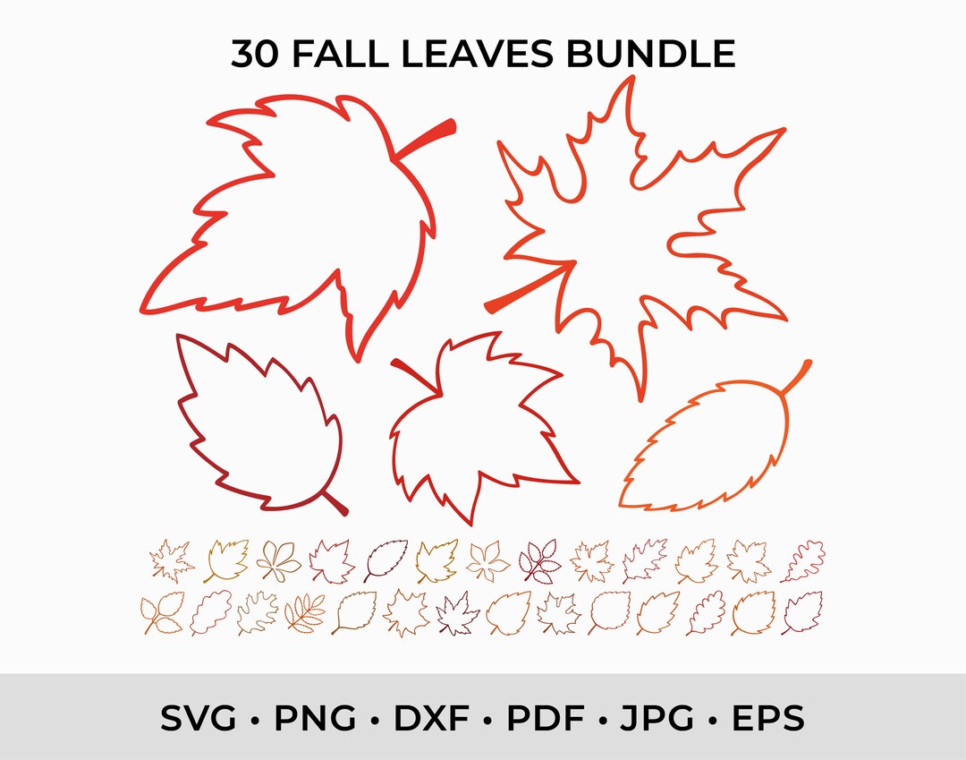Fall Leaves SVG PNG DXF, Autumn Leaf Svg, Fall Svg, Fall Leaf Svg, Fall ...