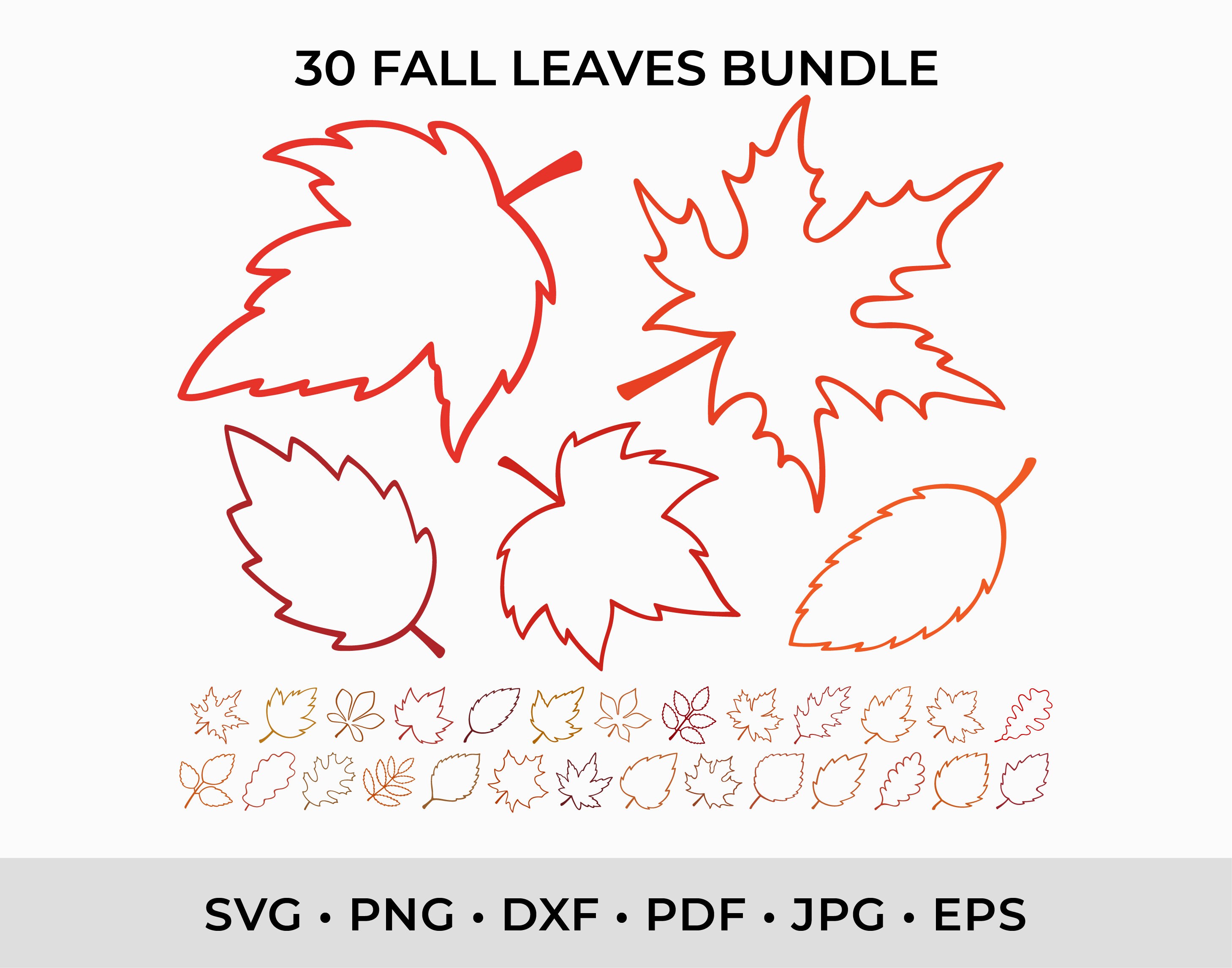 Fall Leaves SVG PNG DXF, Autumn Leaf Svg, Fall Svg, Fall Leaf Svg, Fall ...