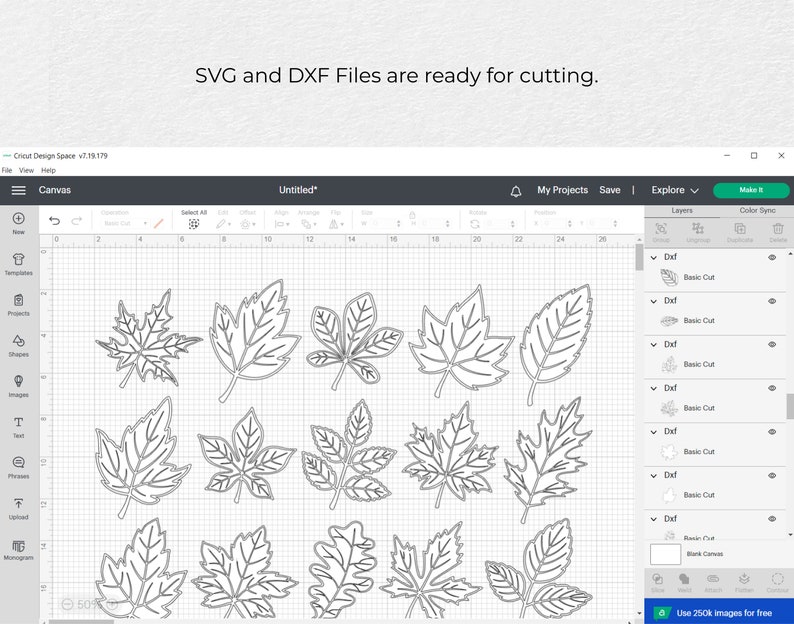 Fall Leaves SVG Cut Files for Cricut Fall Leaves SVG Printable Leaf ...