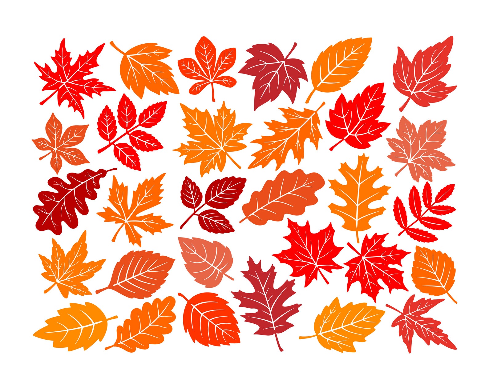 Fall Leaves SVG PNG DXF, Autumn Leaves Svg Leaf Cut Files for Cricut ...