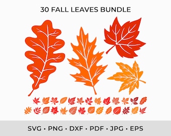 Fall Leaves SVG PNG, Autumn Leaves Svg Leaf Cut Files for Cricut ...