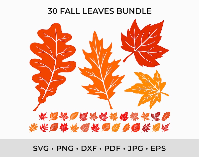 Fall Leaves SVG Bundle, Autumn Leaf Cut Files (digital Download) - Etsy