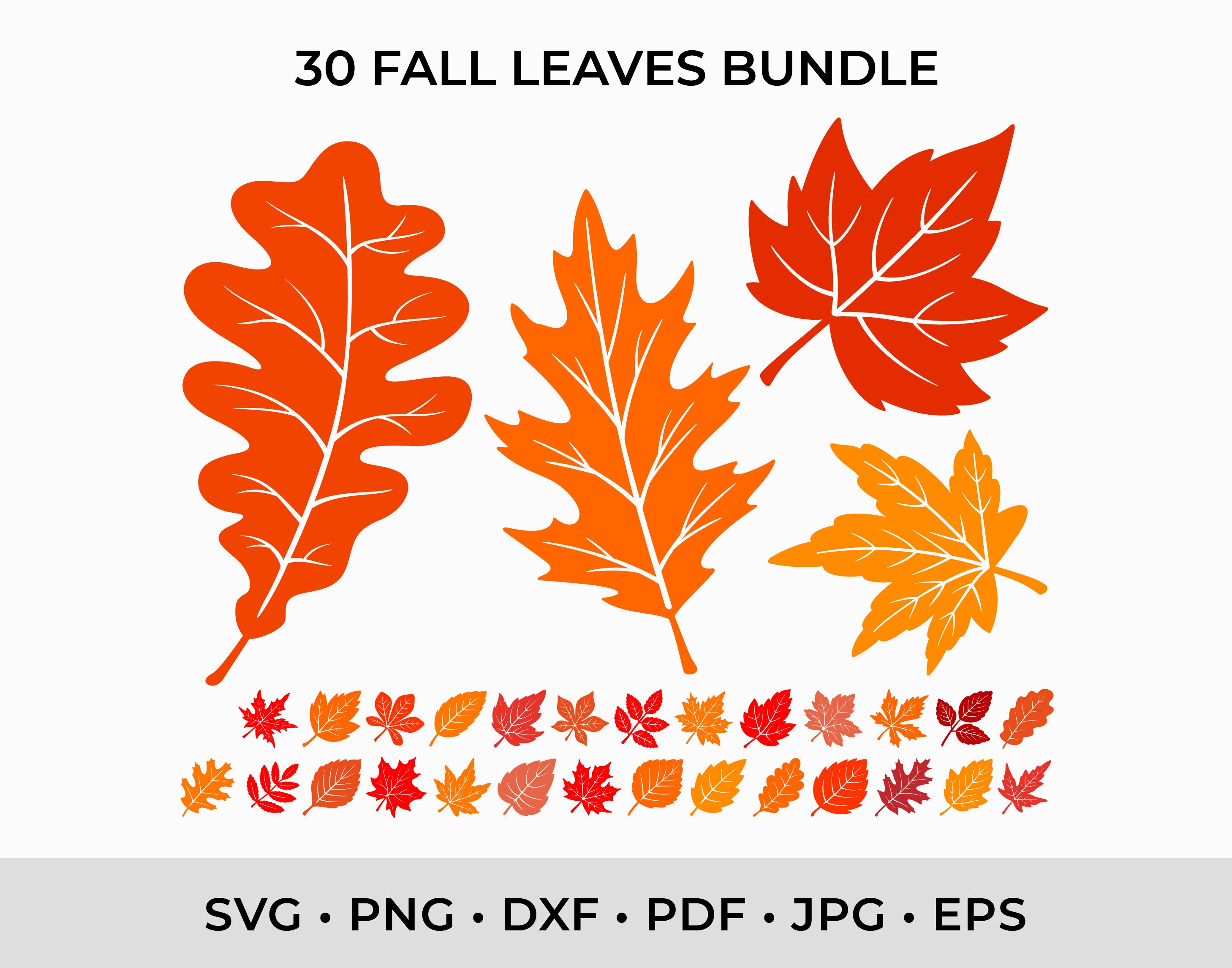 Fall Leaves SVG PNG DXF, Autumn Leaves Svg Leaf Cut Files for Cricut ...