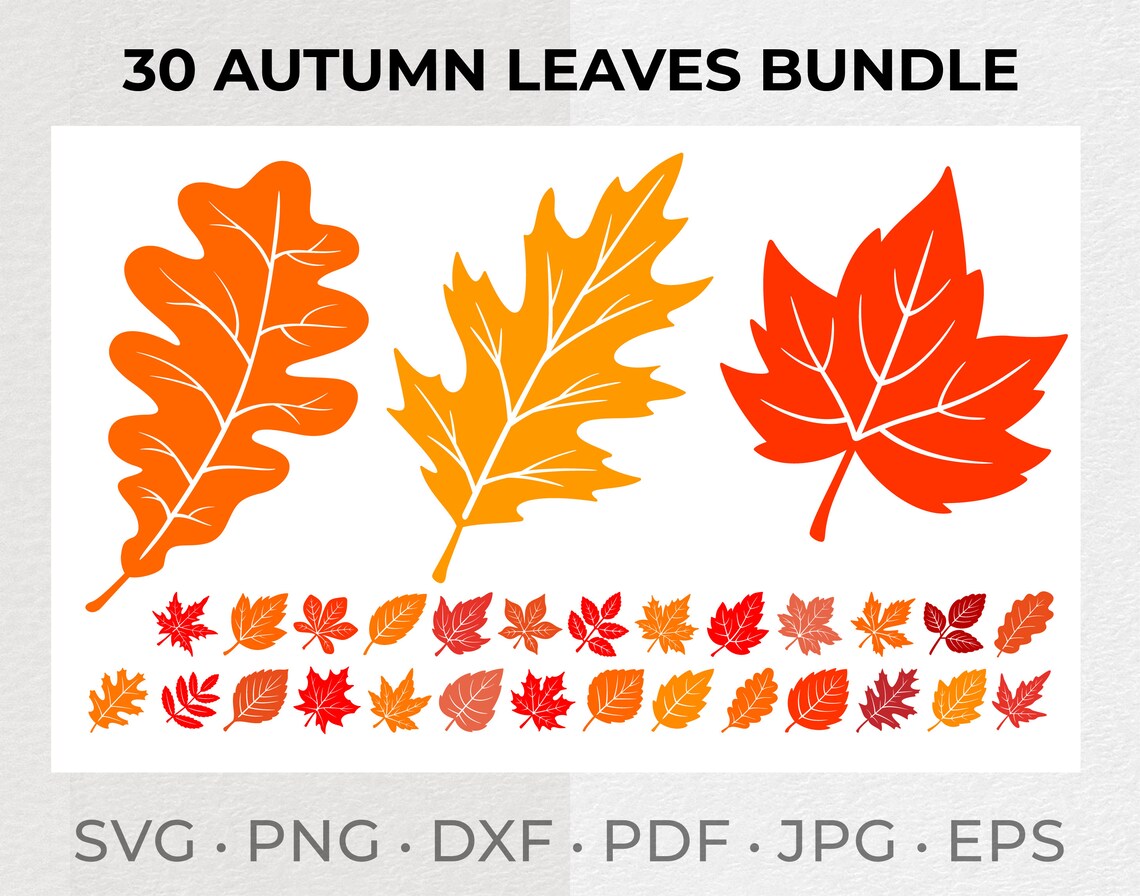 Fall Leaves SVG PNG DXF Autumn Leaves Svg Leaf Cut Files for - Etsy