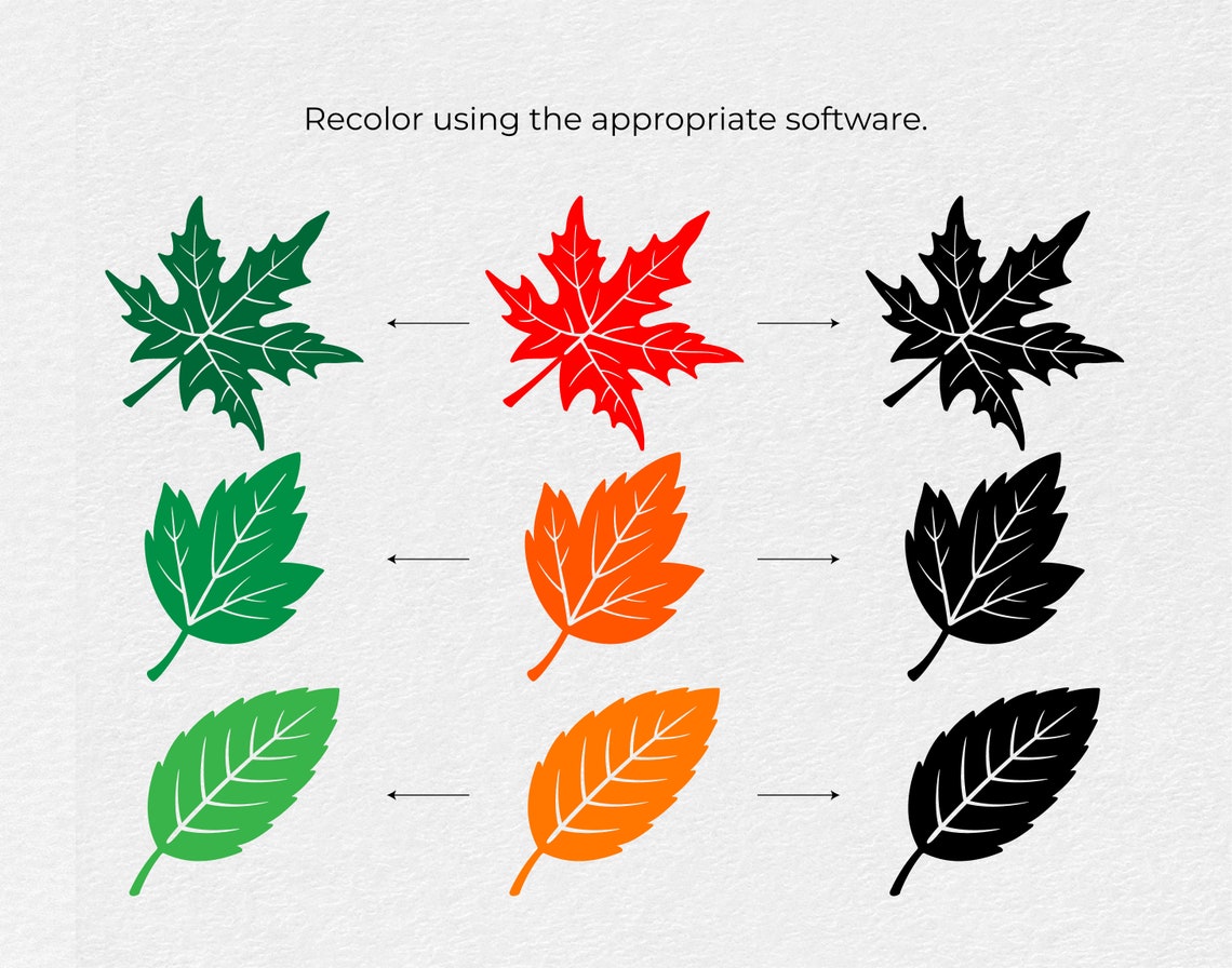 Fall Leaves SVG PNG DXF Autumn Leaves Svg Leaf Cut Files for - Etsy