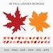 Fall Leaves SVG PNG, Fall Leaf Svg, Fall Svg, Fall Leaf Svg, Fall Png ...