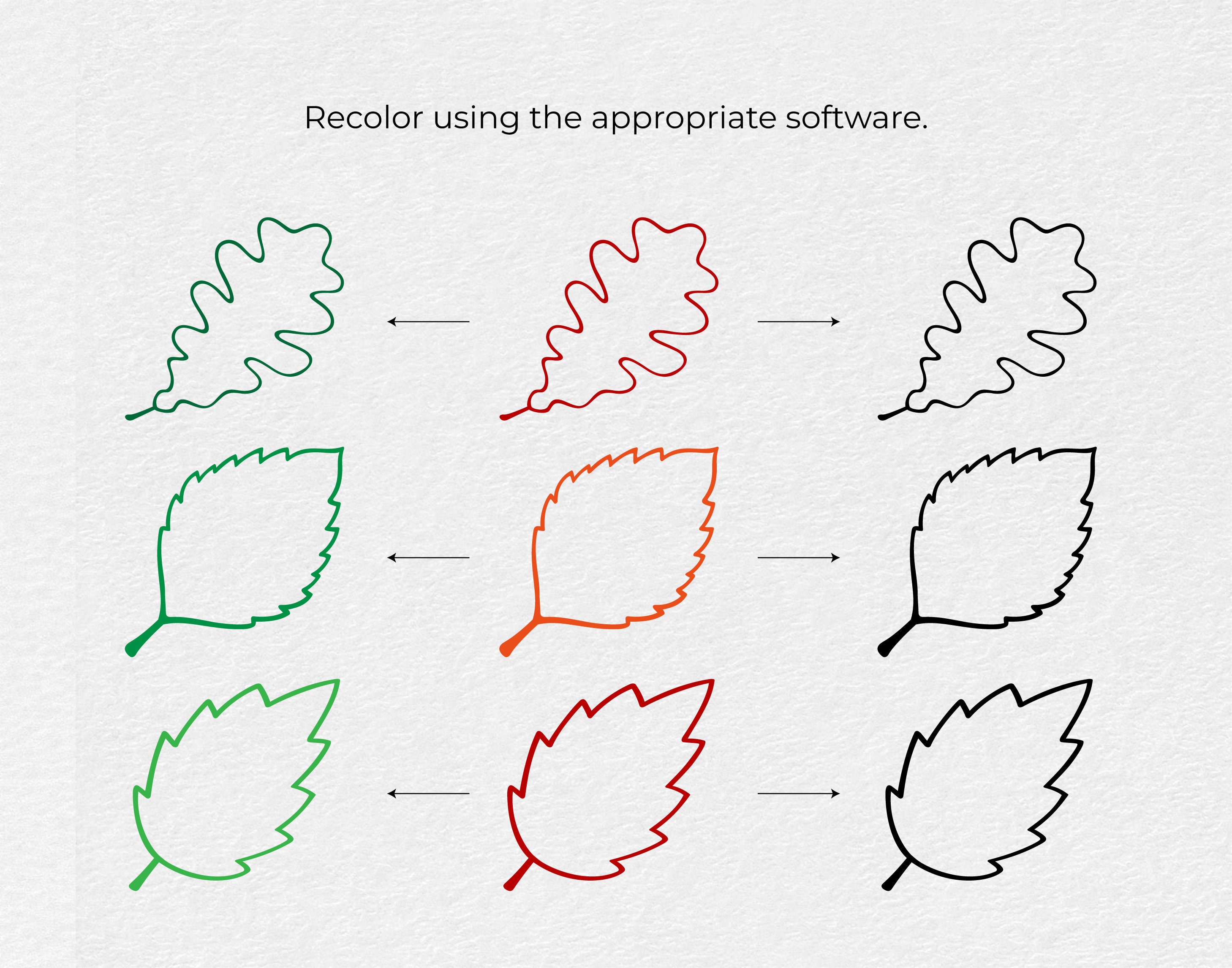 Fall Leaves SVG PNG DXF, Autumn Leaf Svg, Fall Svg, Fall Leaf Svg, Fall ...