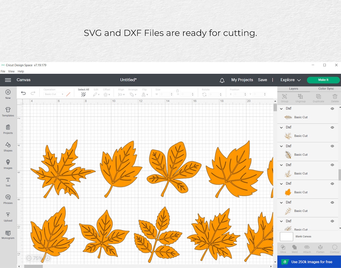 Fall Leaves SVG PNG DXF Autumn Leaves Svg Leaf Cut Files for - Etsy