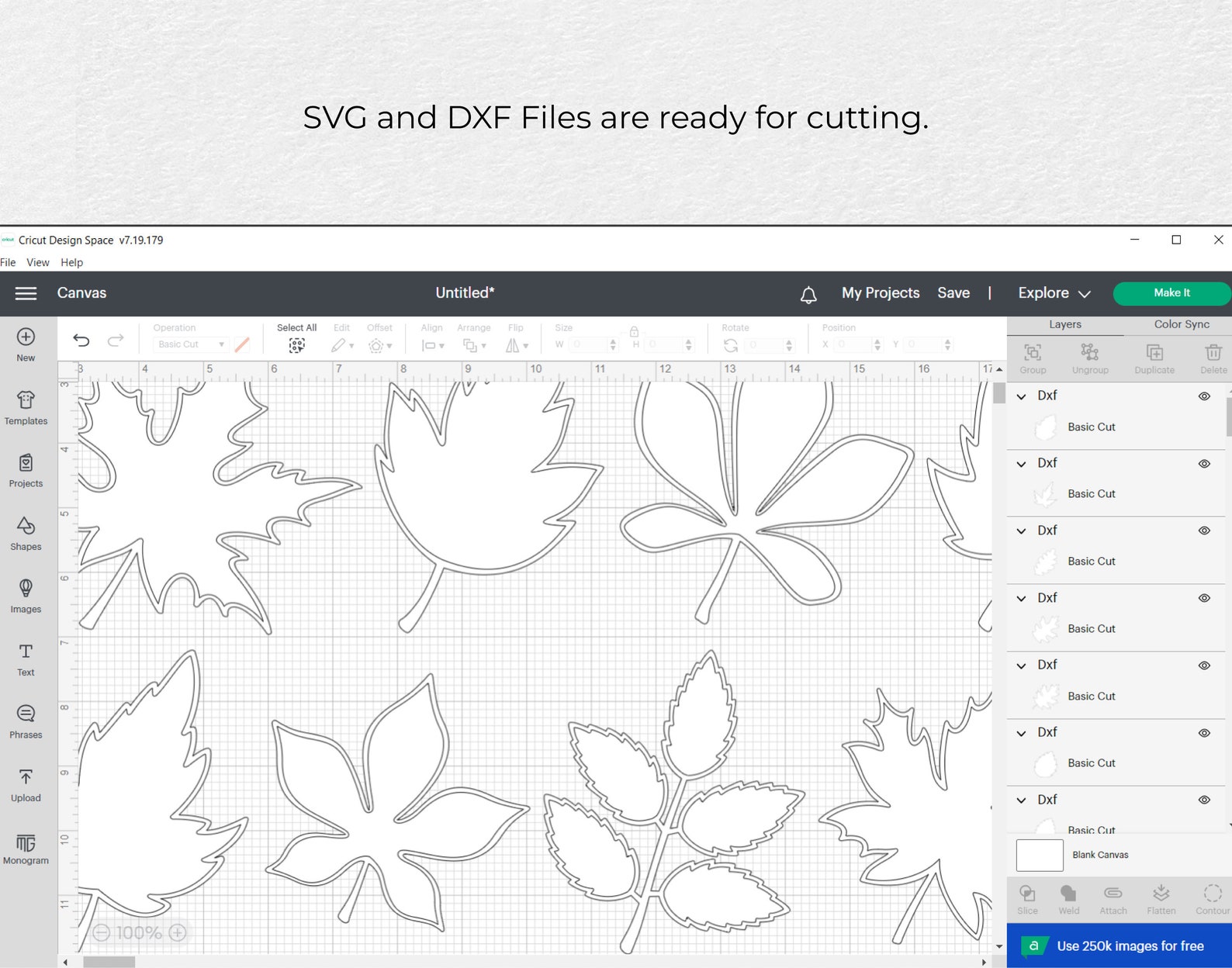 Fall Leaves SVG PNG DXF, Autumn Leaf Svg, Fall Svg, Fall Leaf Svg, Fall ...