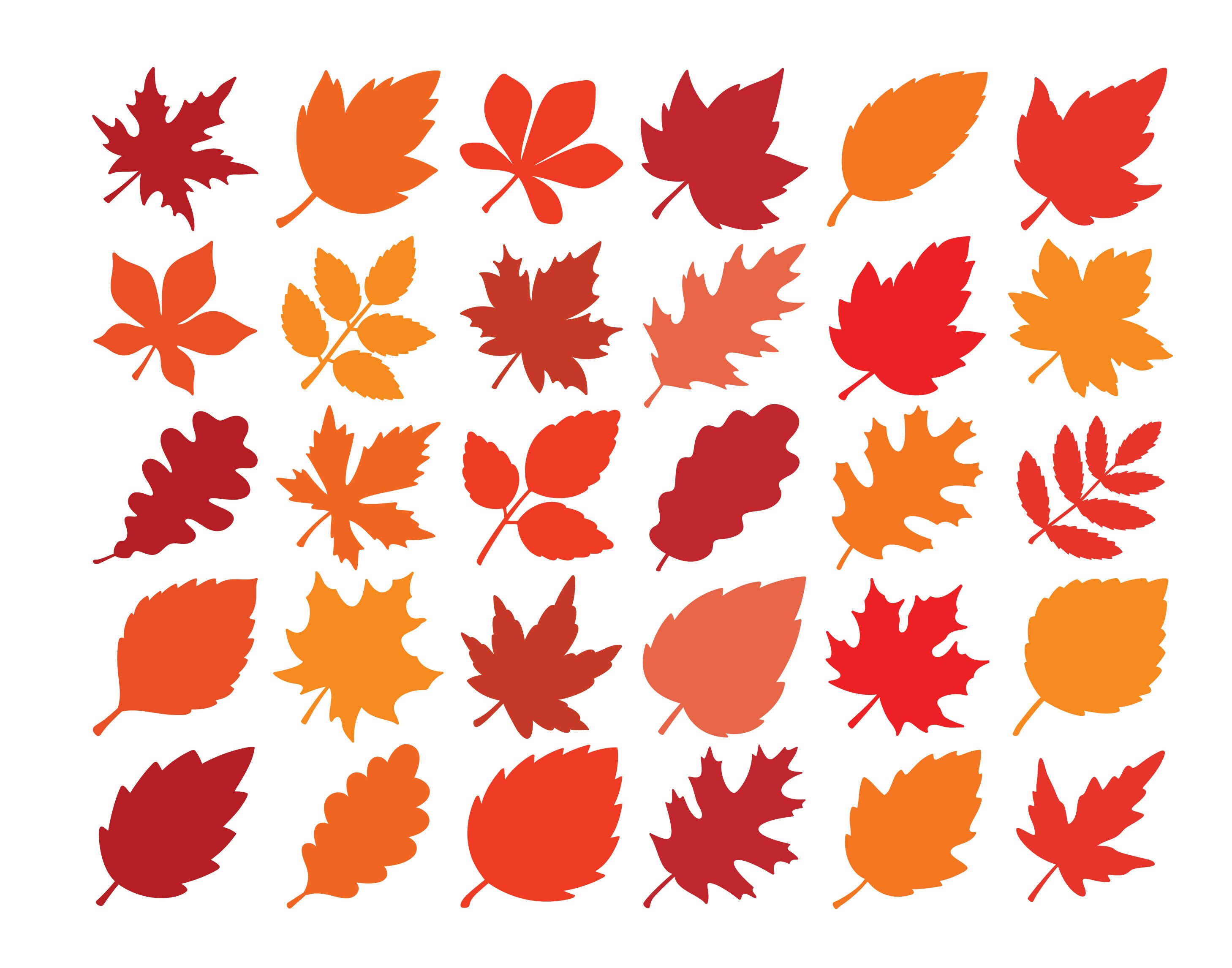 Fall Leaves SVG PNG Fall Leaf Svg Fall Svg Fall Leaf Svg - Etsy
