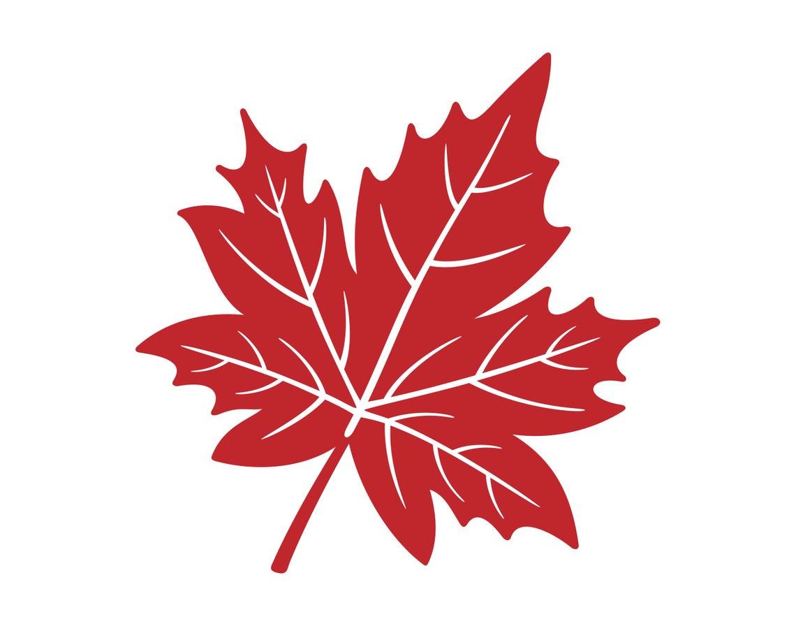 Fall Leaves SVG PNG DXF Autumn Leaves Svg Leaf Cut Files for - Etsy