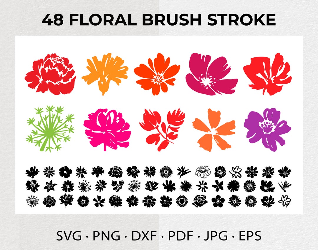 Floral Brush Stroke SVG-PNG, 48 Paint Strokes (digital Files) - Etsy