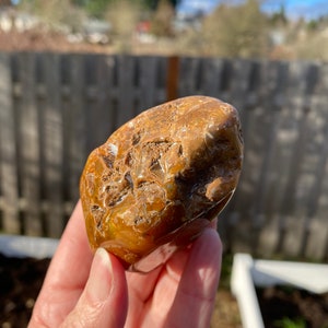 Golden Sard Agate Nodule, Fully Polished, Oregon - Etsy