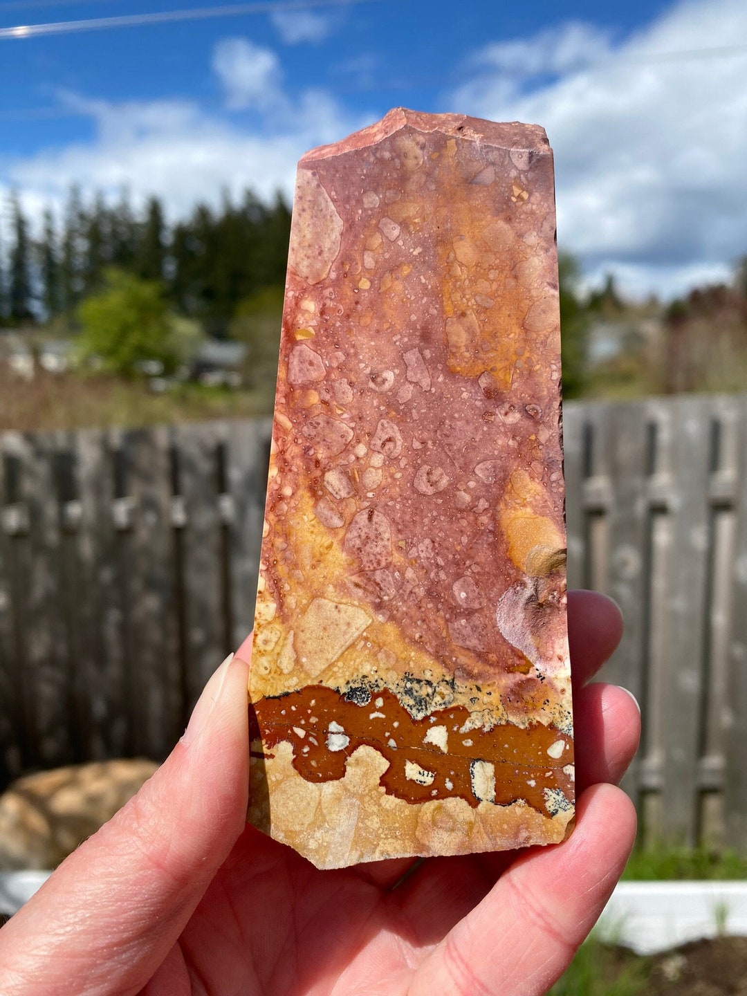 Rocky Butte Owyhee Picture Jasper, Cut and Polished, Semi Precious ...