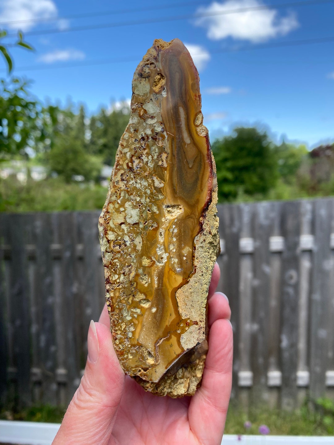 Owyhee Gem Jasper, Display Piece, Cut and Polished - Etsy