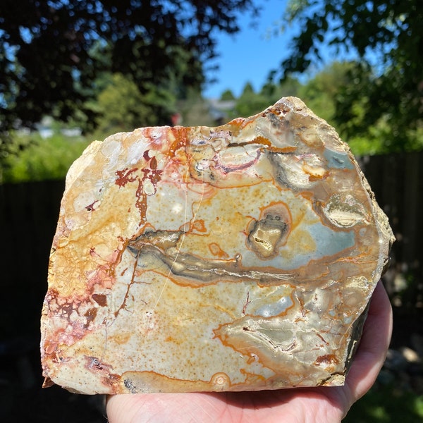 Owyhee Picture Jasper - Etsy