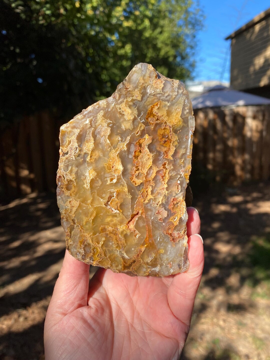 Graveyard Point Plume Agate Nodule, Cut and Polished - Etsy