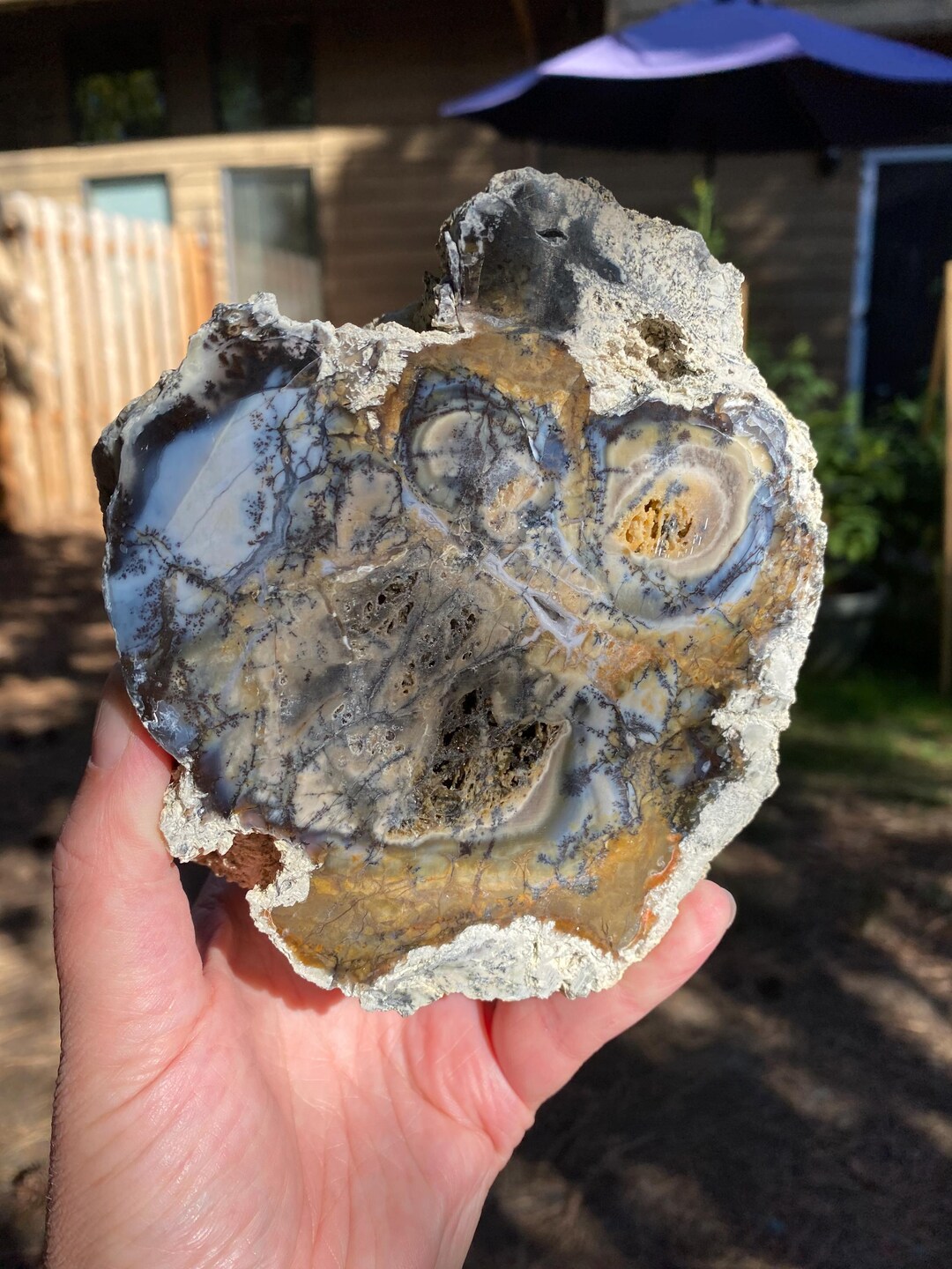 LARGE Amethyst Sage Agate Nodule, Cut and Polished Rock Display - Etsy
