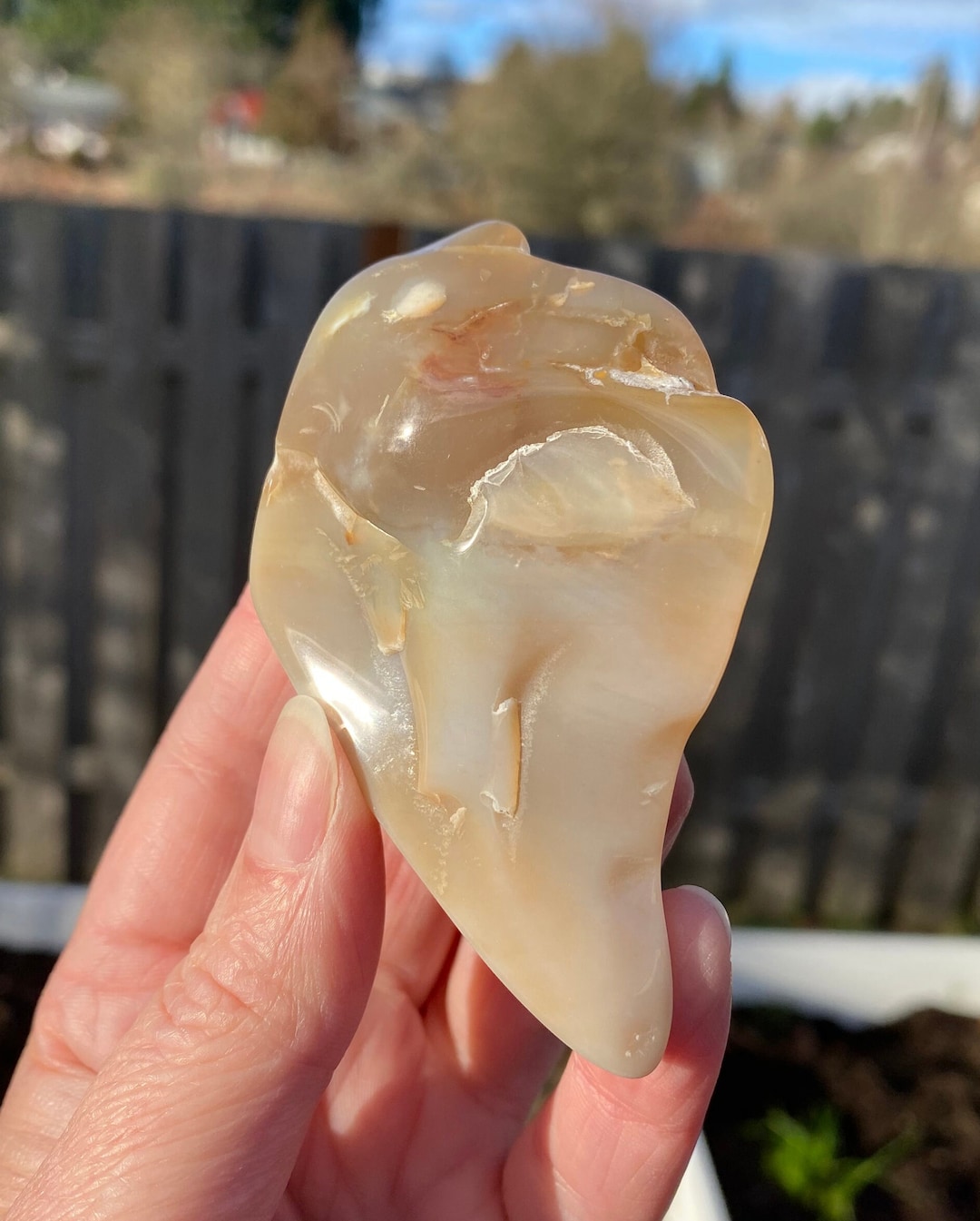 Creamy Agate Nodule, Fully Polished, Oregon - Etsy