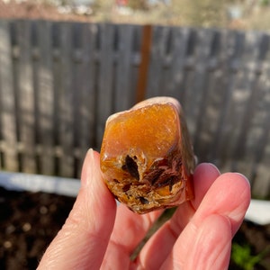 Golden Sard Agate Nodule, Fully Polished, Oregon - Etsy