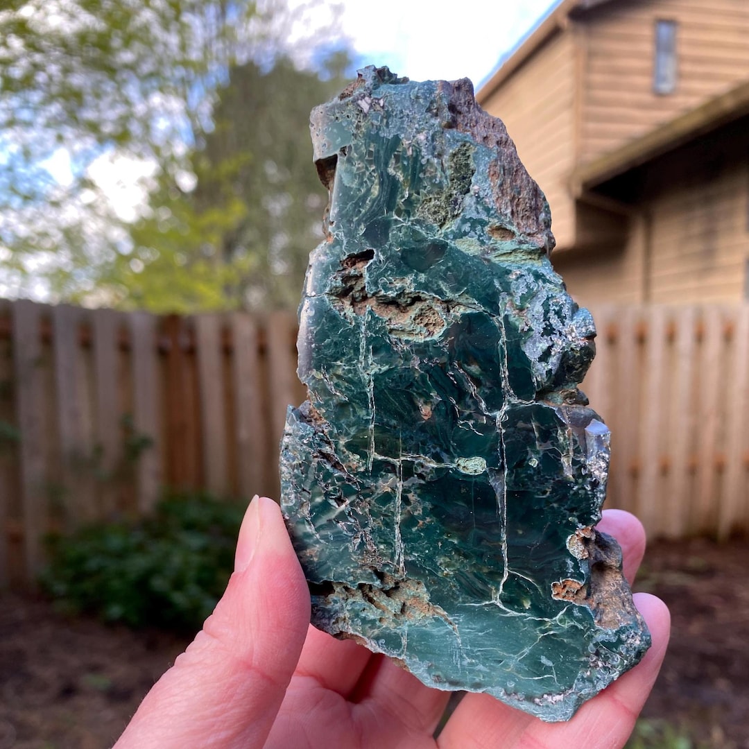 Green Petrified Wood, Jasper, Hampton Butte, Cut and Polished - Etsy