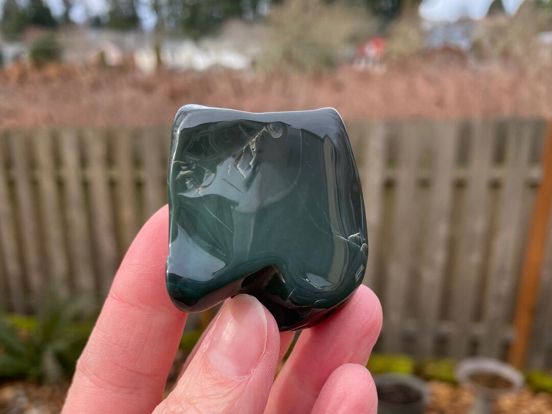 Green Jasper, Petrified Wood, Polished, Hampton Butte - Etsy