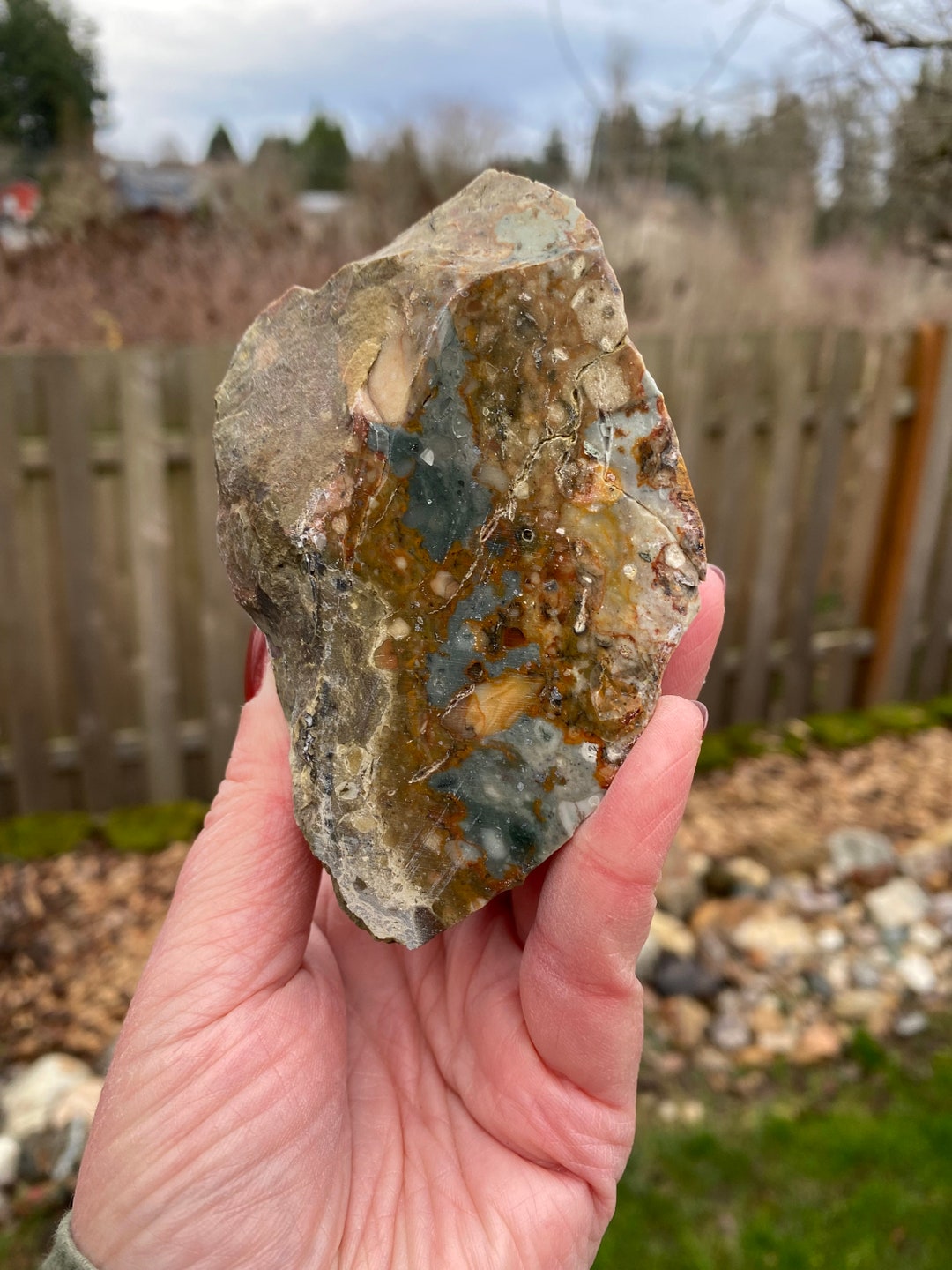 Rocky Butte Owyhee Picture Jasper, Cut and Polished, Semi Precious ...