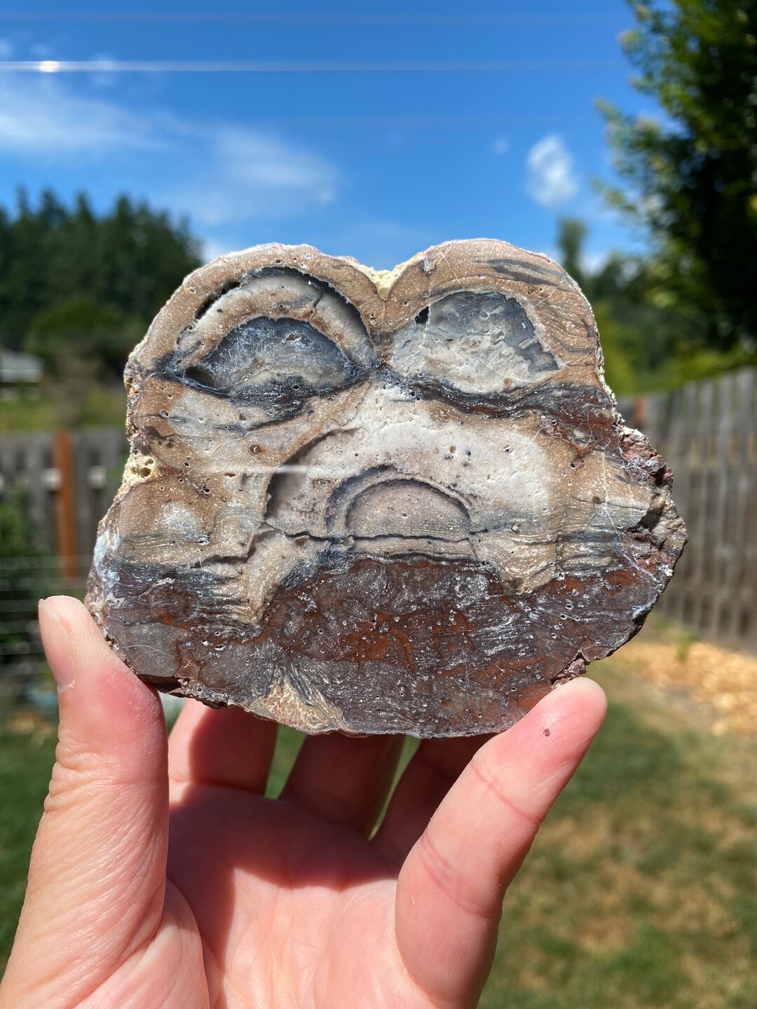 Polished Rhyolite Geode Matrix, Dugway, Utah, Agate, Druzy Quartz - Etsy